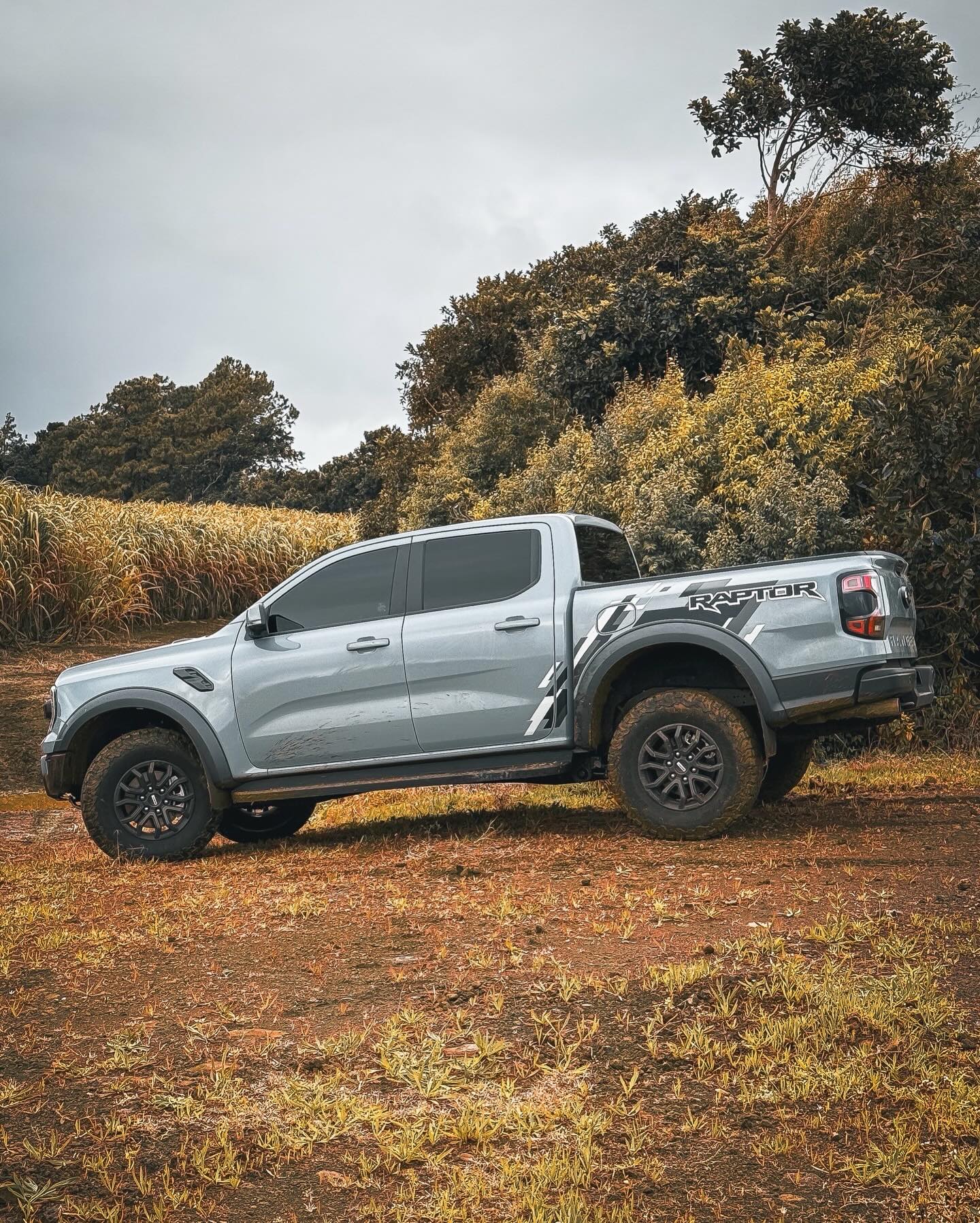 Best Car Rental Mauritius 2026 | Prices, Jimny, Convertible